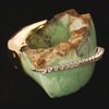Ring by Boaz Kashi